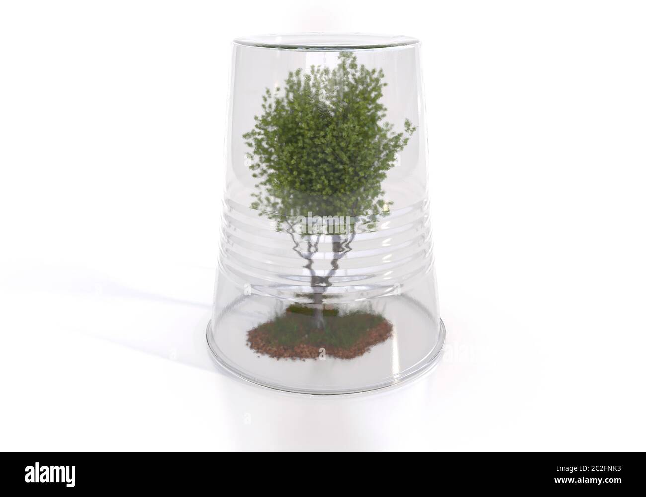 A tree are grows inside a disposable plastic cup. Environmental ...