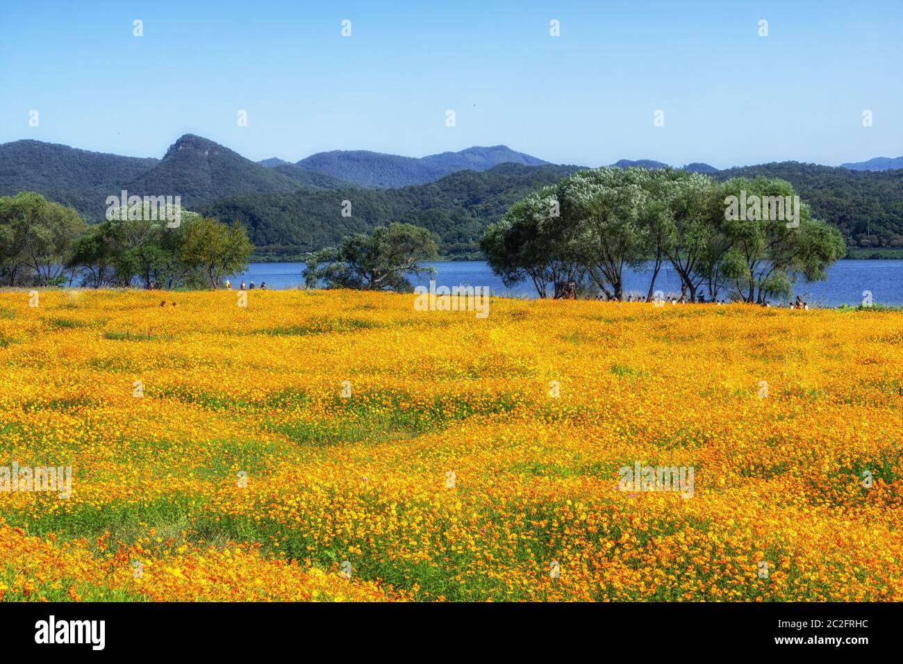 Bukhan river hi-res stock photography and images - Alamy