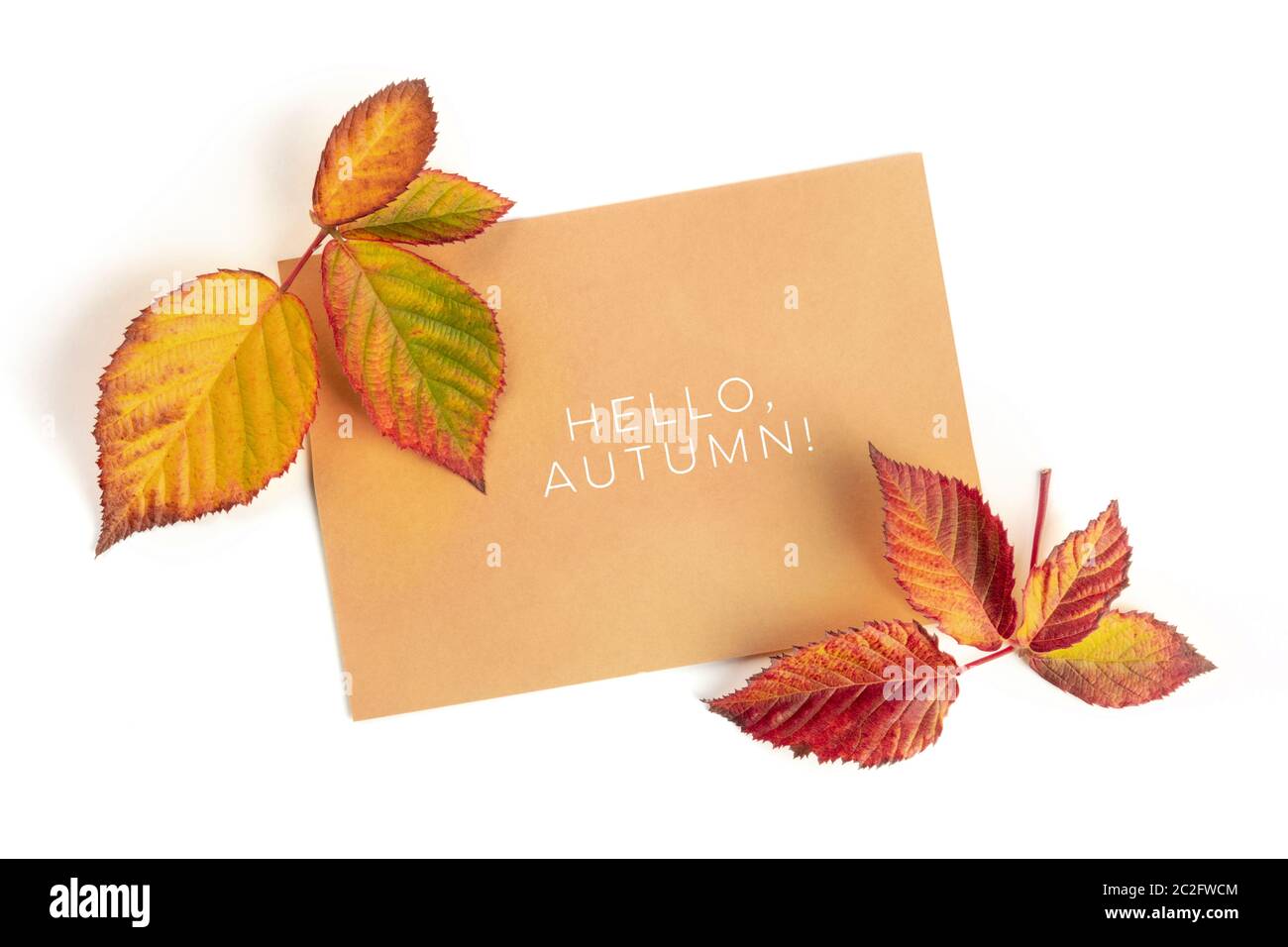 Hello, Autumn design template with vibrant yellow and orange autumn ...
