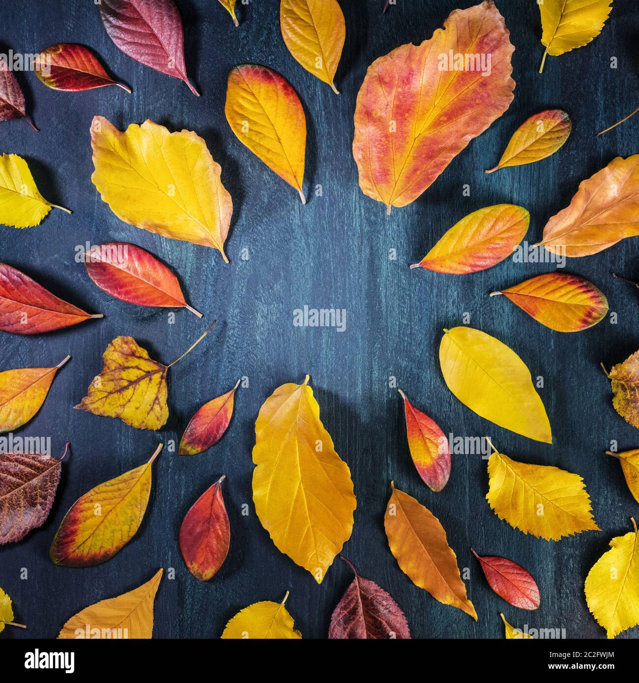 Autumn background with vibrant fall leaves, a design template for a ...