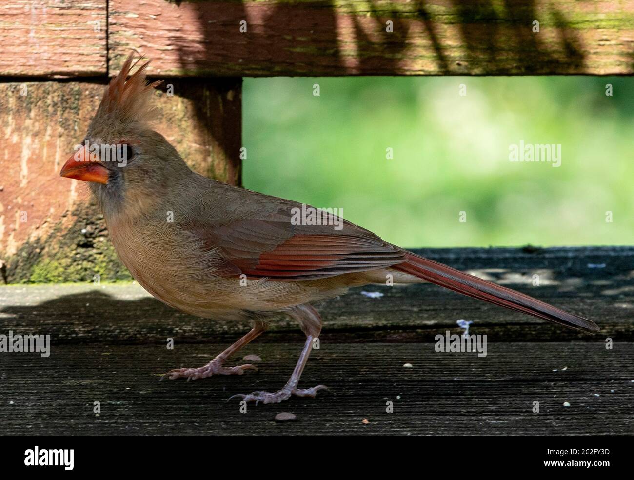 Shadows in bath hi-res stock photography and images - Alamy