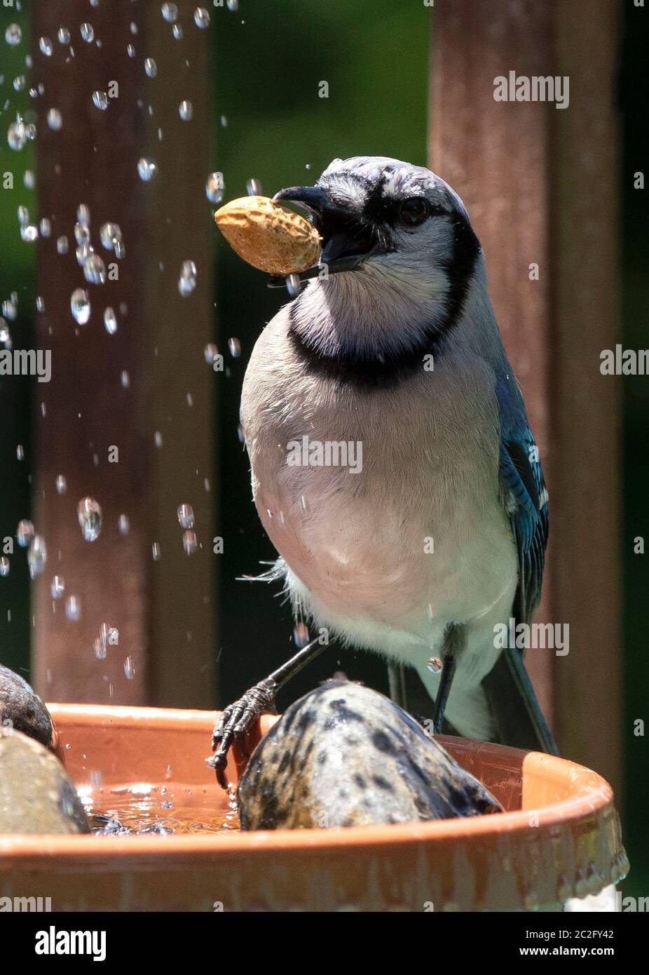 Nabbed hi-res stock photography and images - Alamy