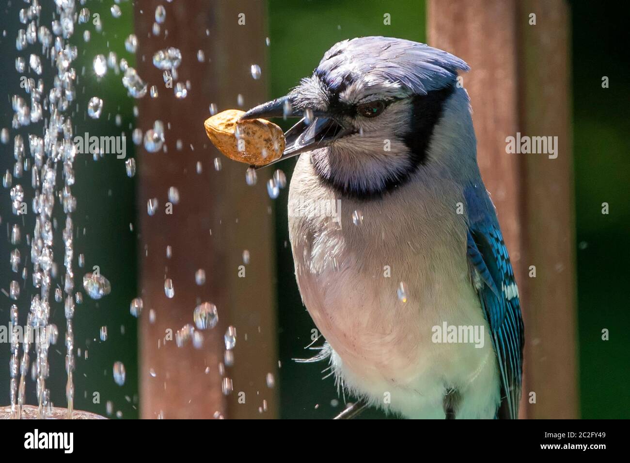 Water going up Stock Photo - Alamy
