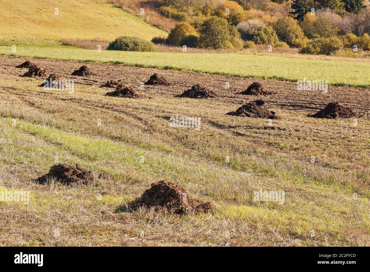 Small piles of manure on autumn field Stock Photo - Alamy