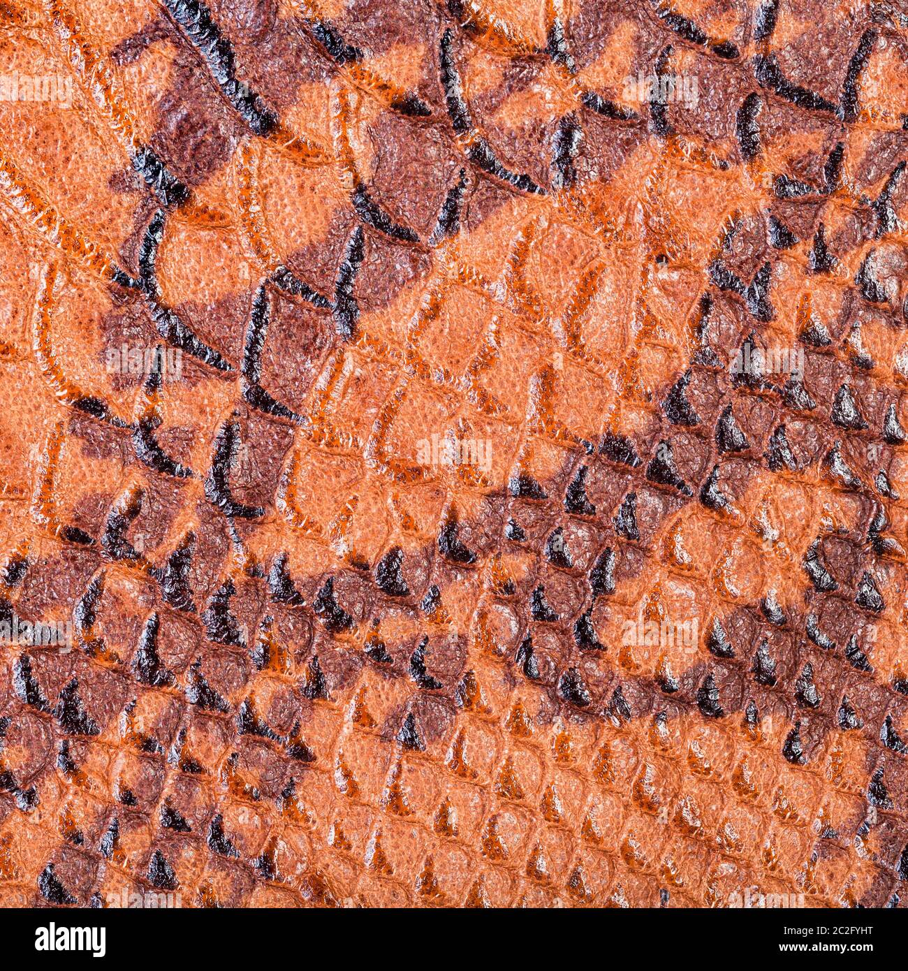 textured square background from snakeskin leather close up Stock Photo ...