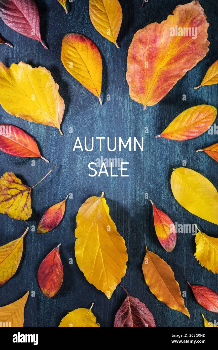 Bac circle logo hi-res stock photography and images - Alamy