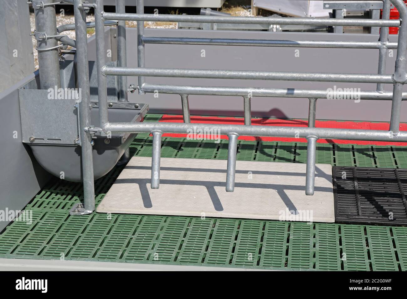 Farrowing Pen at Modern Pig Farm for Suckling Piglets and Sow Stock ...