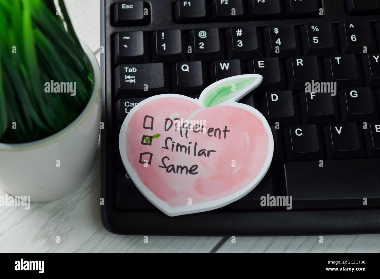 Same but different school hi-res stock photography and images - Alamy