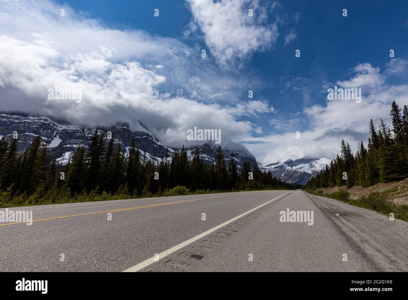 Landscape of the Bow Valley in Banff National Park of Canada Stock ...