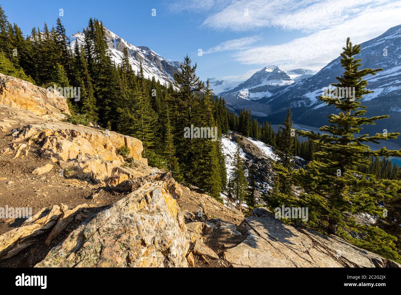 Landscape of the Bow Valley in Banff National Park of Canada Stock ...