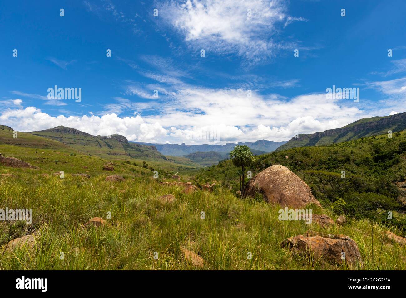Green grass blue sky and white clouds Stock Photo - Alamy