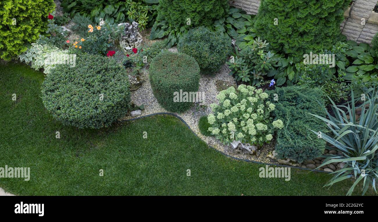Green juniper bush trimmed in cylinder shape, use in landscaping Stock ...