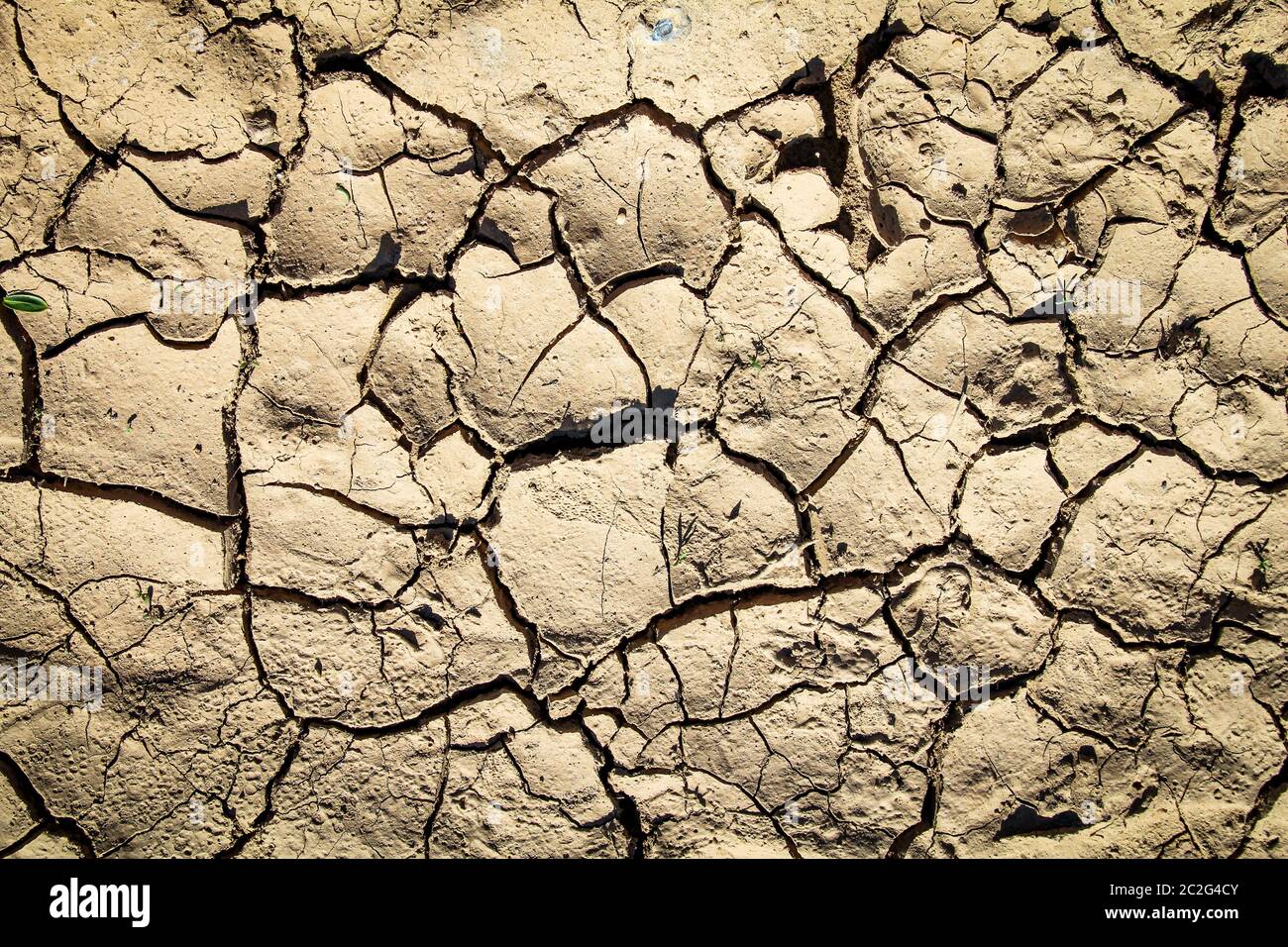 dry earth due to lack of water, triggered by the beginning of climate ...