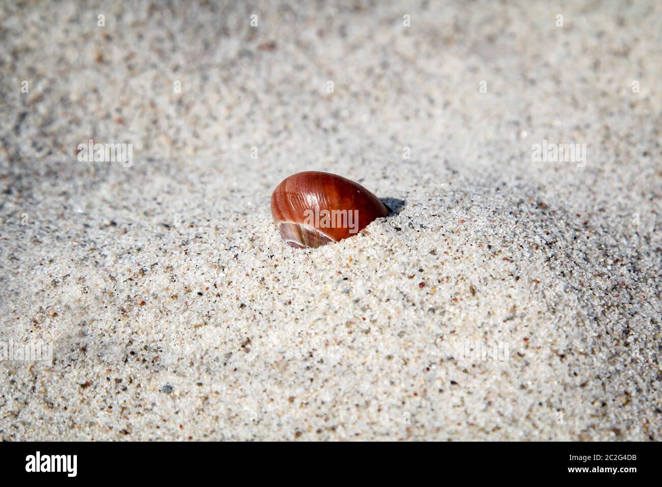 Pomination hi-res stock photography and images - Alamy