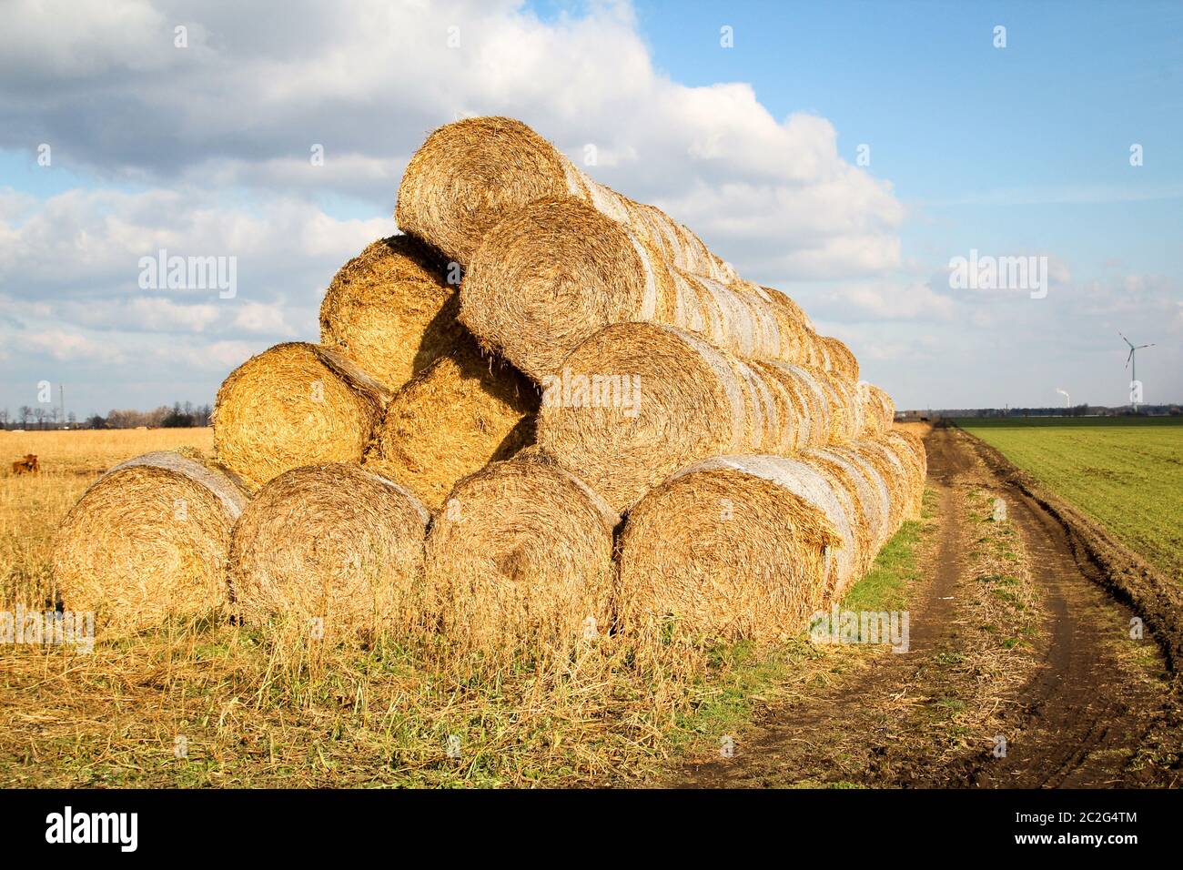 Straw bales stacked on the field at the end of summer Stock Photo - Alamy