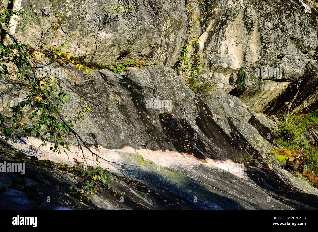 rocks in Finland are covered with moss and plants Stock Photo - Alamy