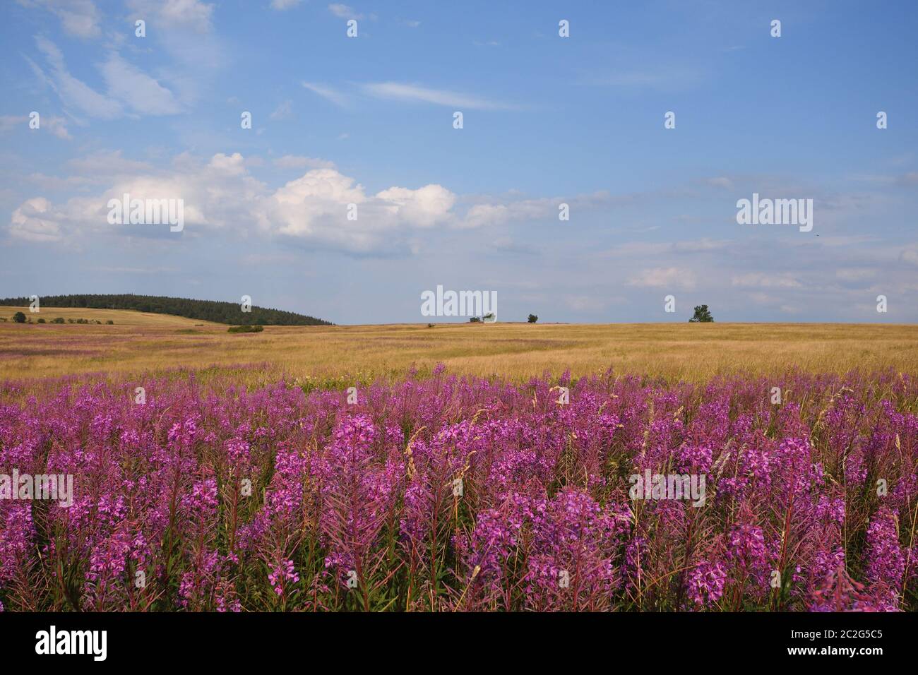 Ore mountains region hi-res stock photography and images - Alamy
