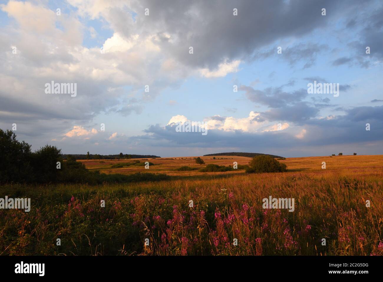 The Ore Mountains or Ore Mountain Range in the evening Stock Photo - Alamy