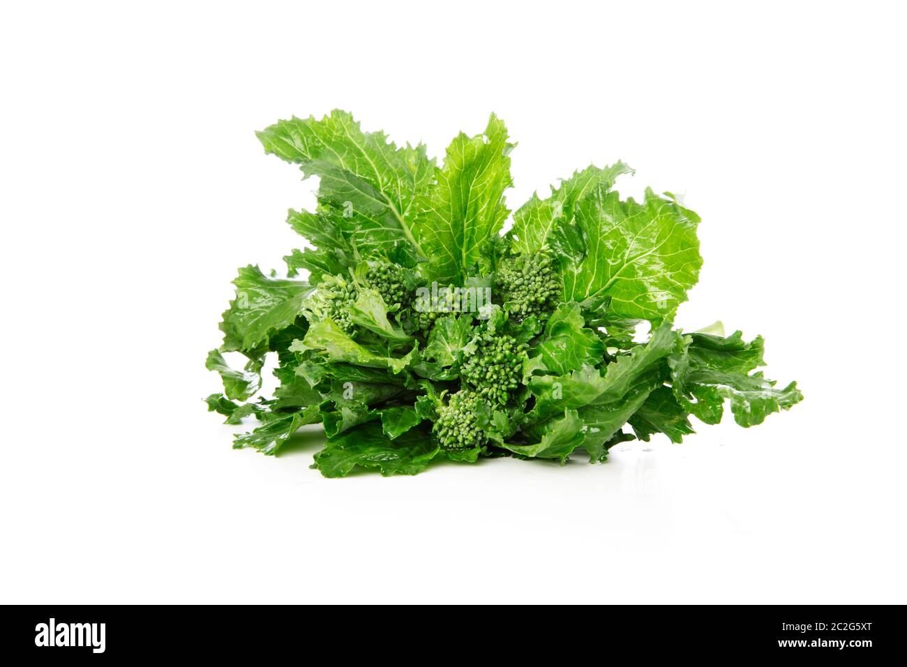 Broccoli rabe hi-res stock photography and images - Alamy