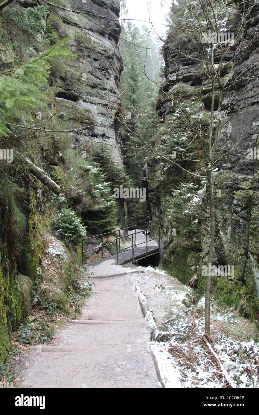 a forest path between rocky ravines Stock Photo - Alamy