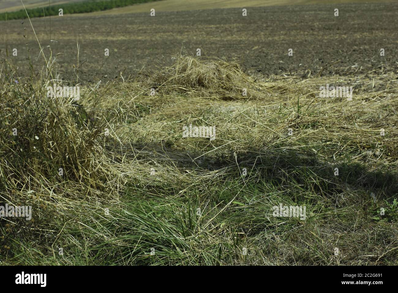 Haycock hi-res stock photography and images - Alamy