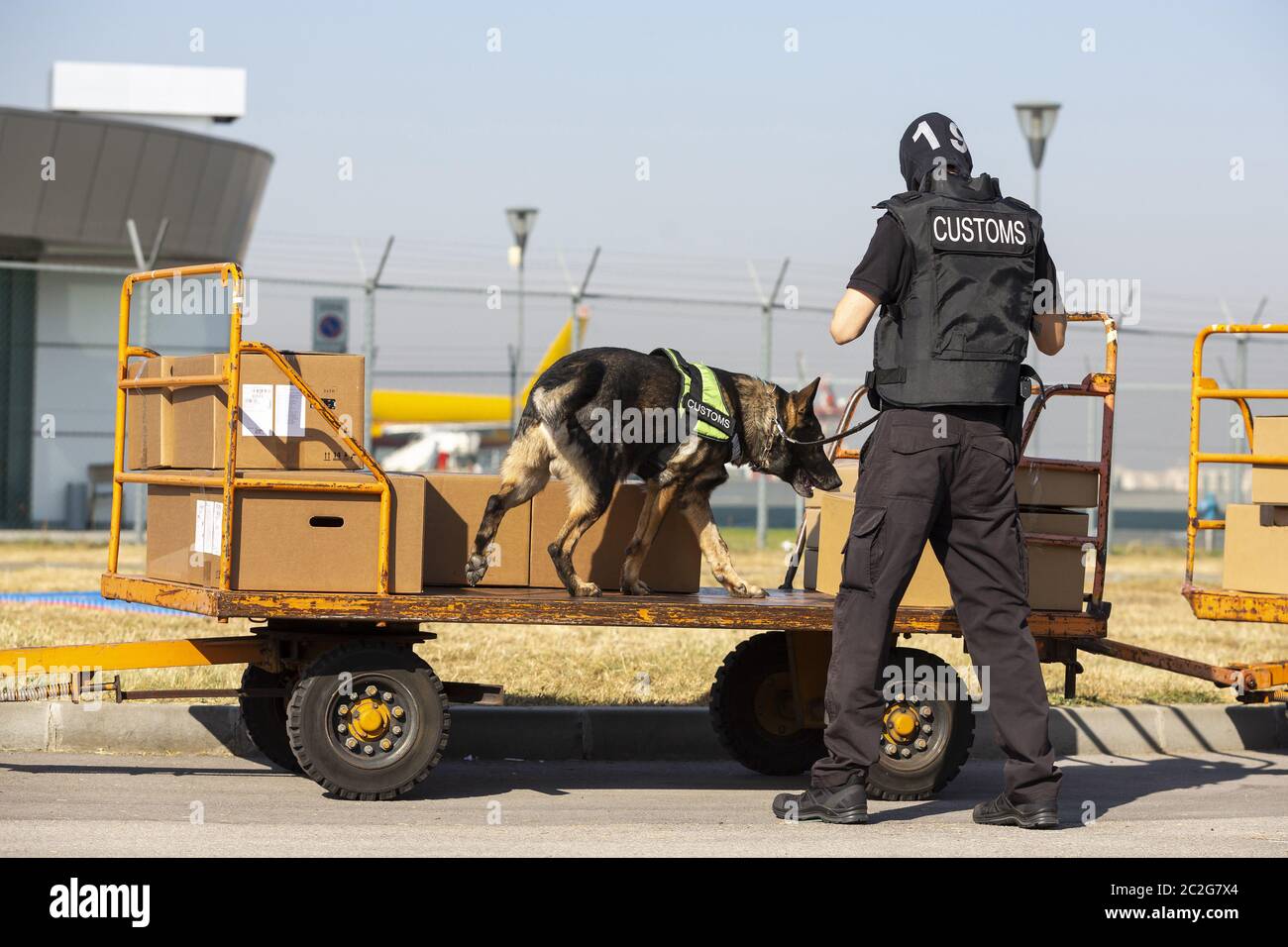 Customs and border protection officer and dog Stock Photo - Alamy