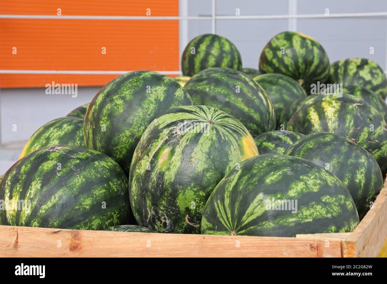 Big Watermelons in Crates at Wholesale Warehouse Stock Photo - Alamy