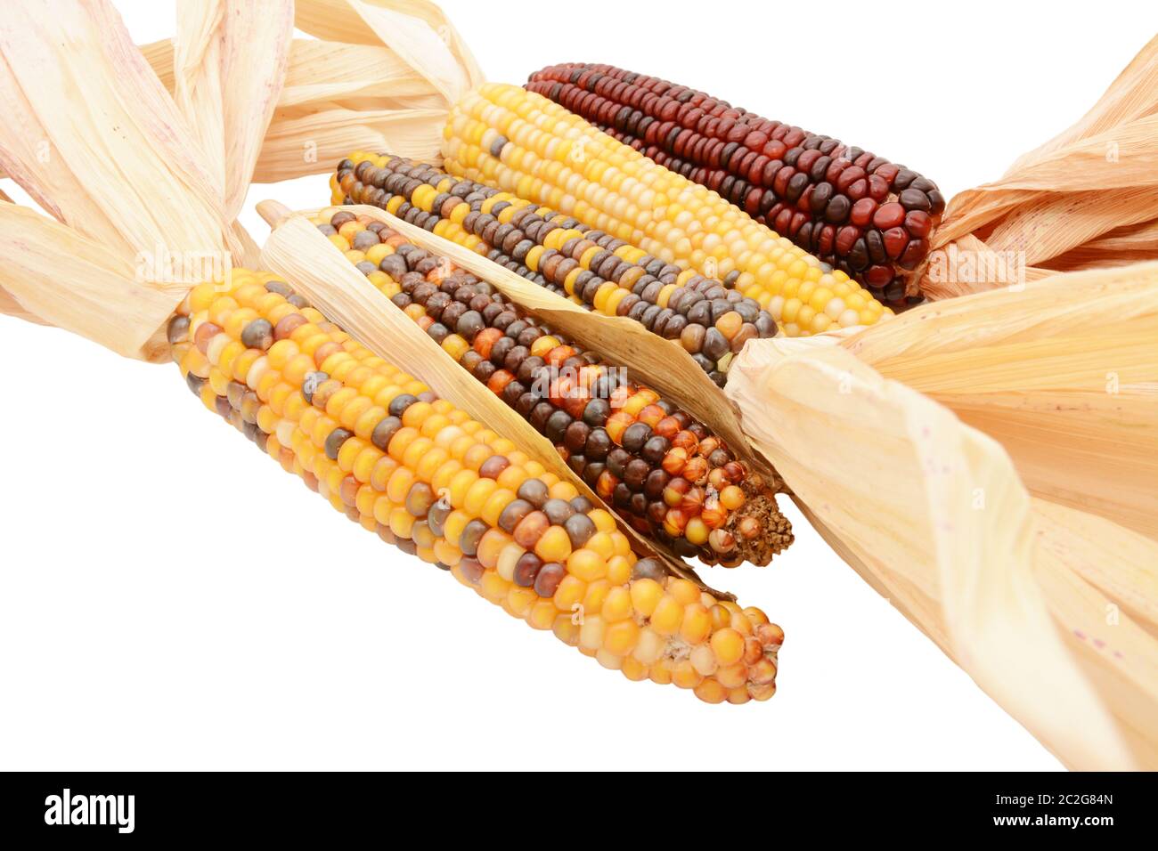 Five multicoloured ornamental flint corn cobs arranged diagonally, with ...