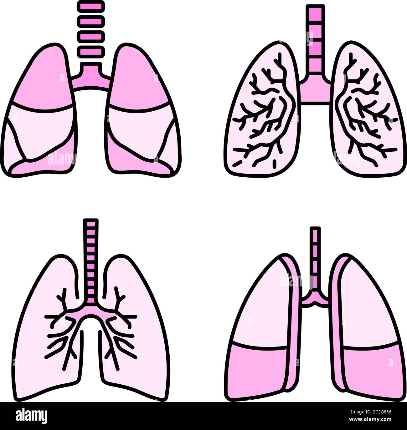 Lung icon set line color vector Stock Vector Image & Art - Alamy
