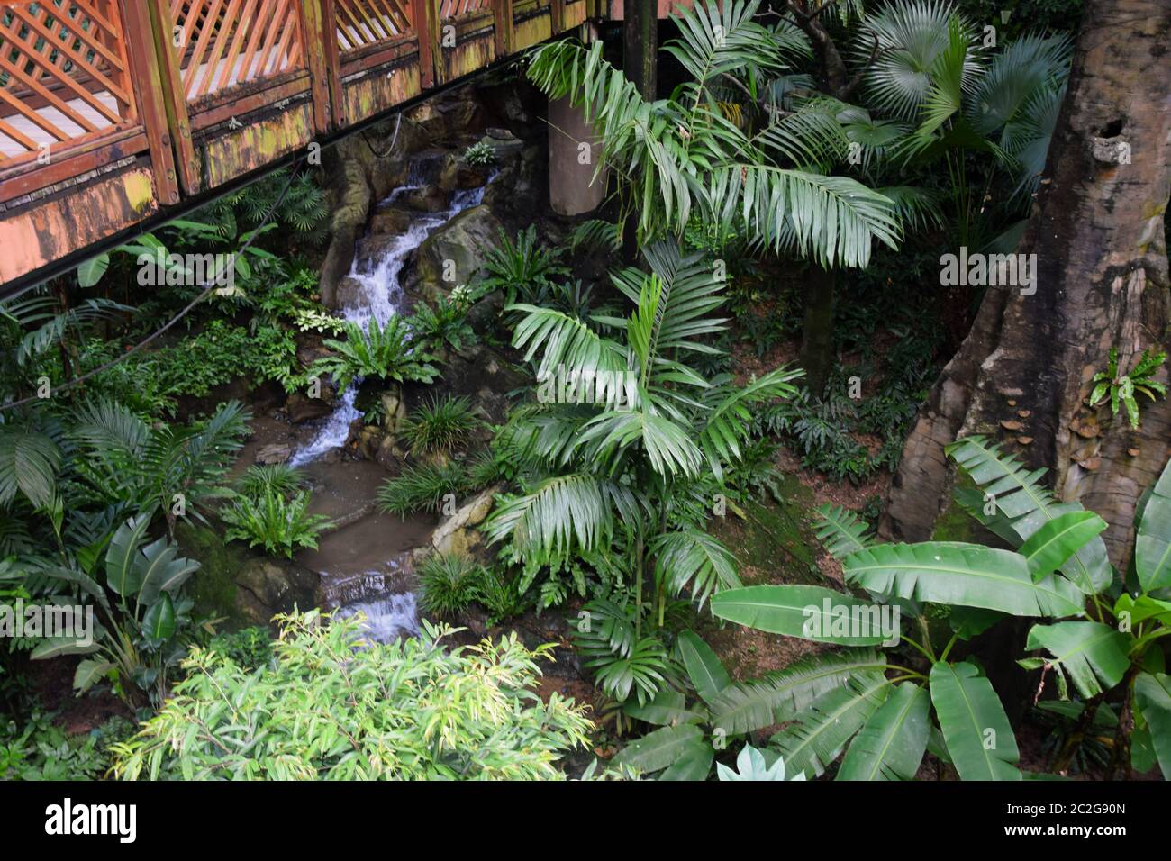 Edward Youde Aviary in the Hong Kong Park on Hong Kong Island Stock ...