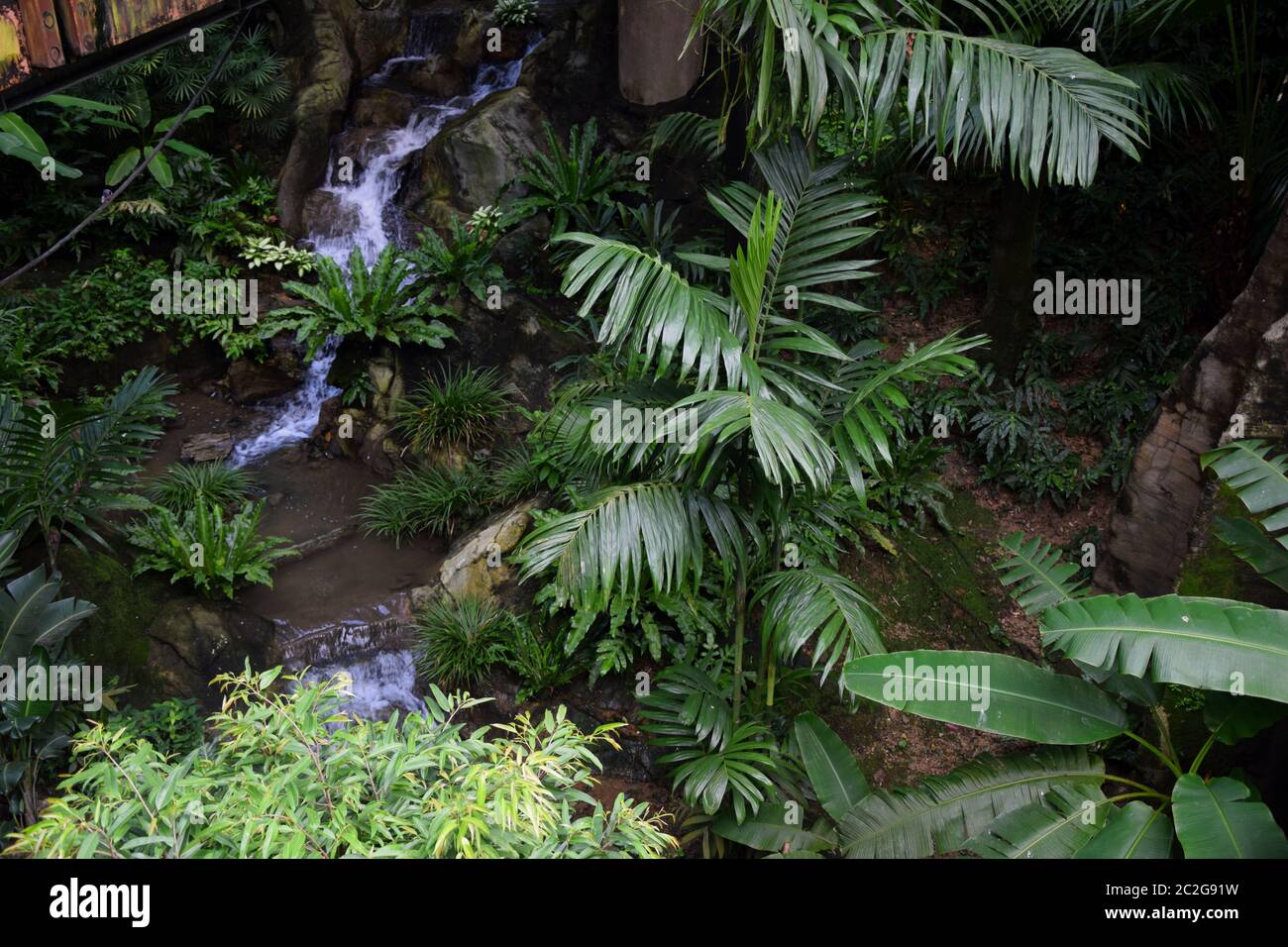 Edward Youde Aviary in the Hong Kong Park on Hong Kong Island Stock ...