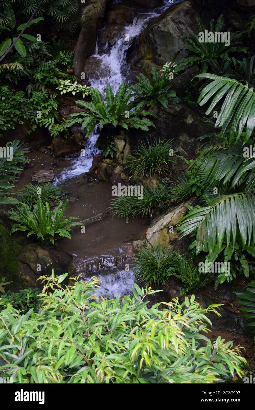 Edward Youde Aviary in the Hong Kong Park on Hong Kong Island Stock ...