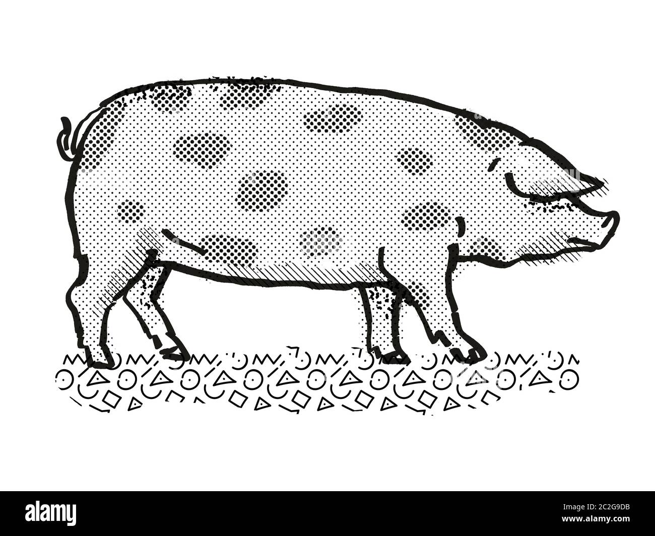 Farm pig cartoon sow hi-res stock photography and images - Alamy