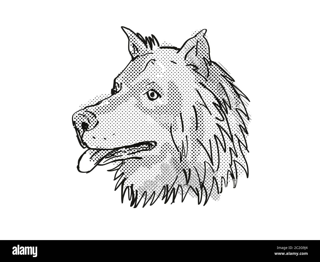Spitz dog cartoon illustration hi-res stock photography and images - Alamy