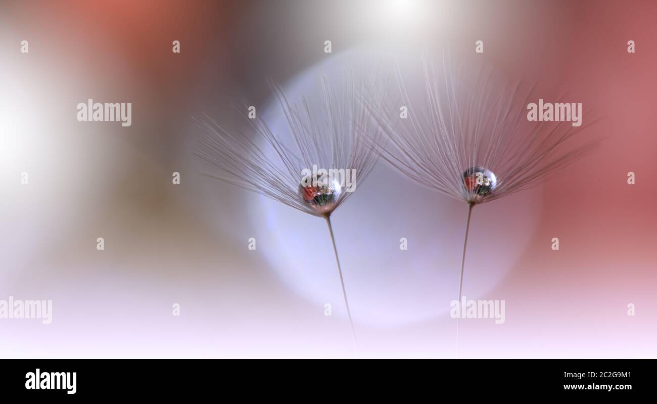 Abstract romance background hi-res stock photography and images - Alamy