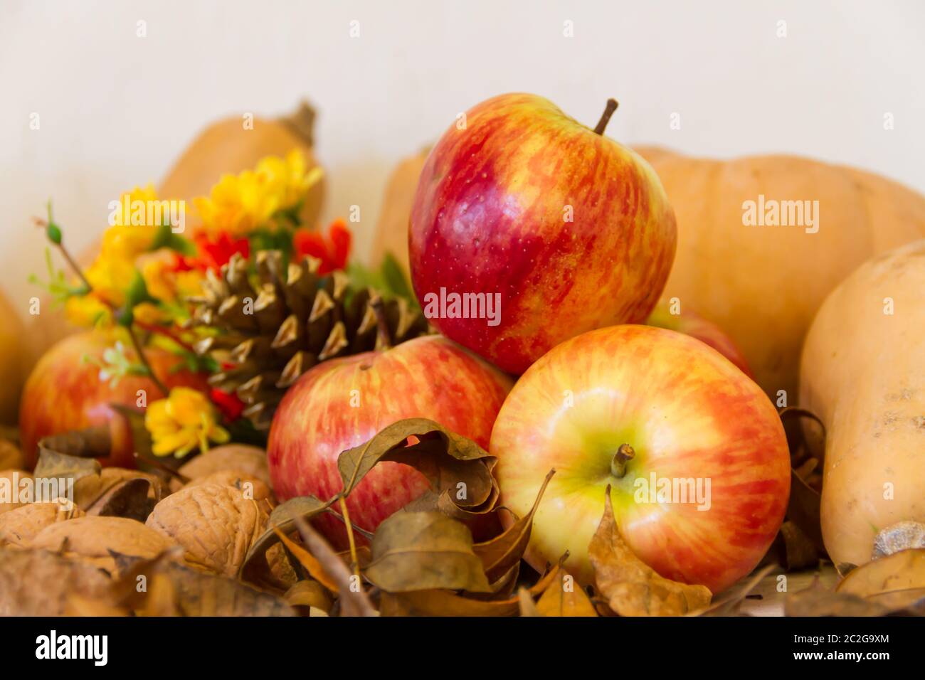 Autumn harvest composition with pumpkins and apples Stock Photo - Alamy