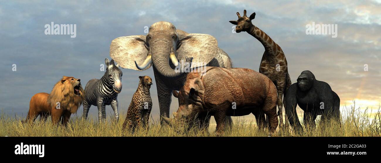 Various wild animals of Africa on sky background Stock Photo - Alamy