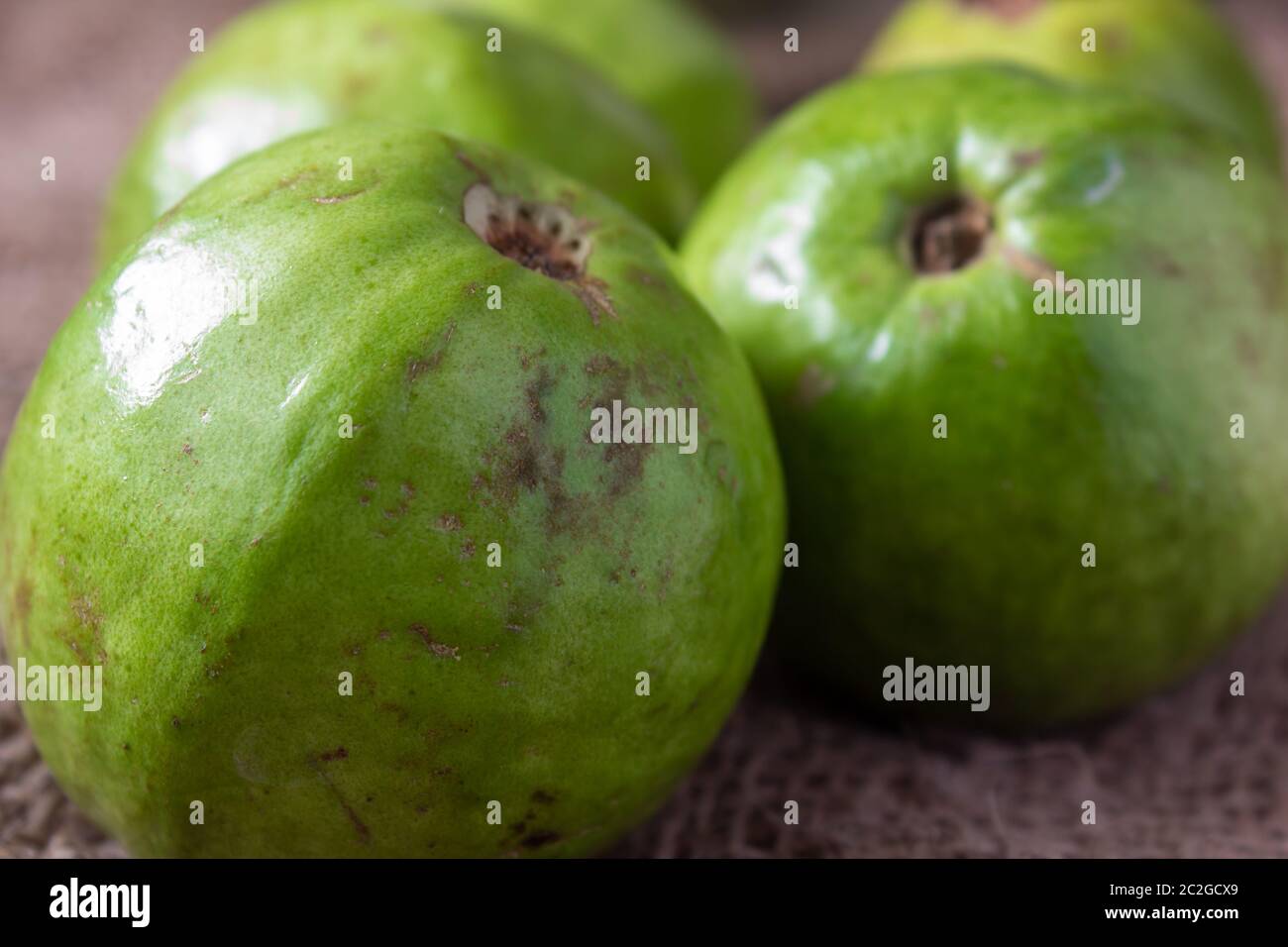 Guava is a tropical fruit which are rich in dietary fiber and vitamin C ...