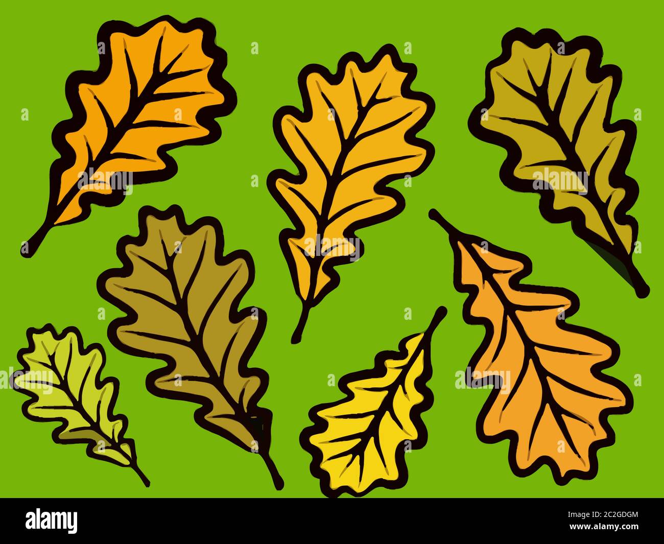 Oak leaf design hi-res stock photography and images - Alamy