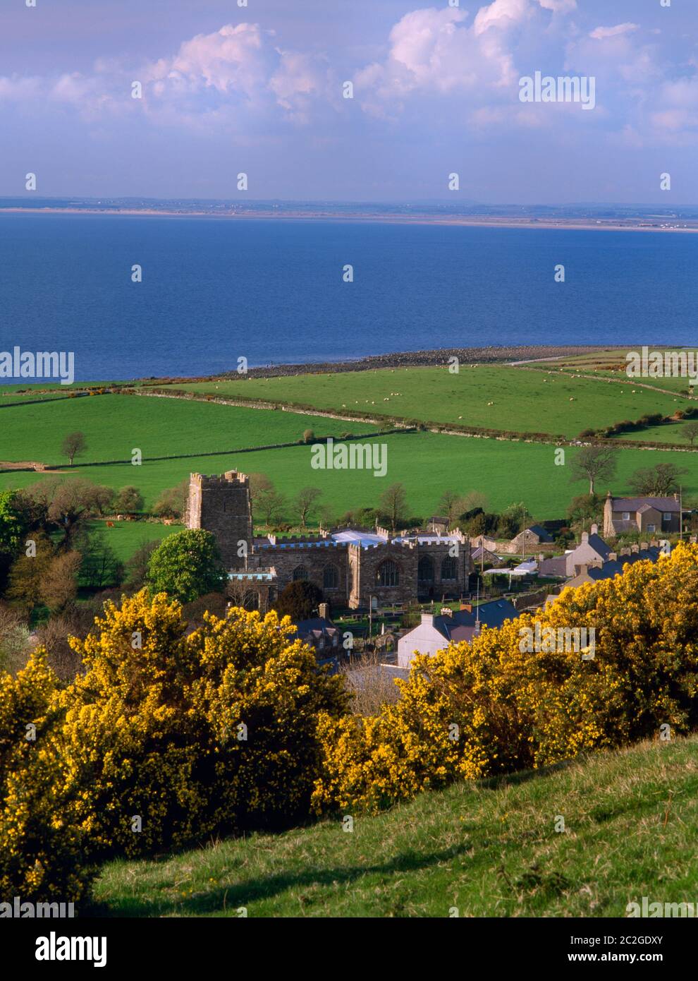 View N of St Beuno's Church & his detached C16th shrine chapel (Bedd ...