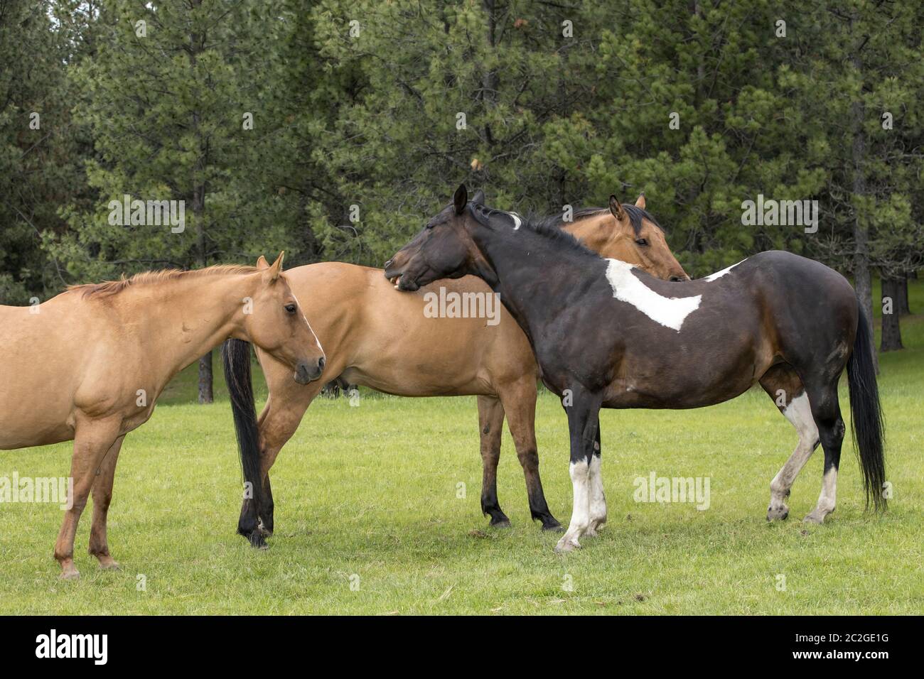 Couple scratch hi-res stock photography and images - Alamy