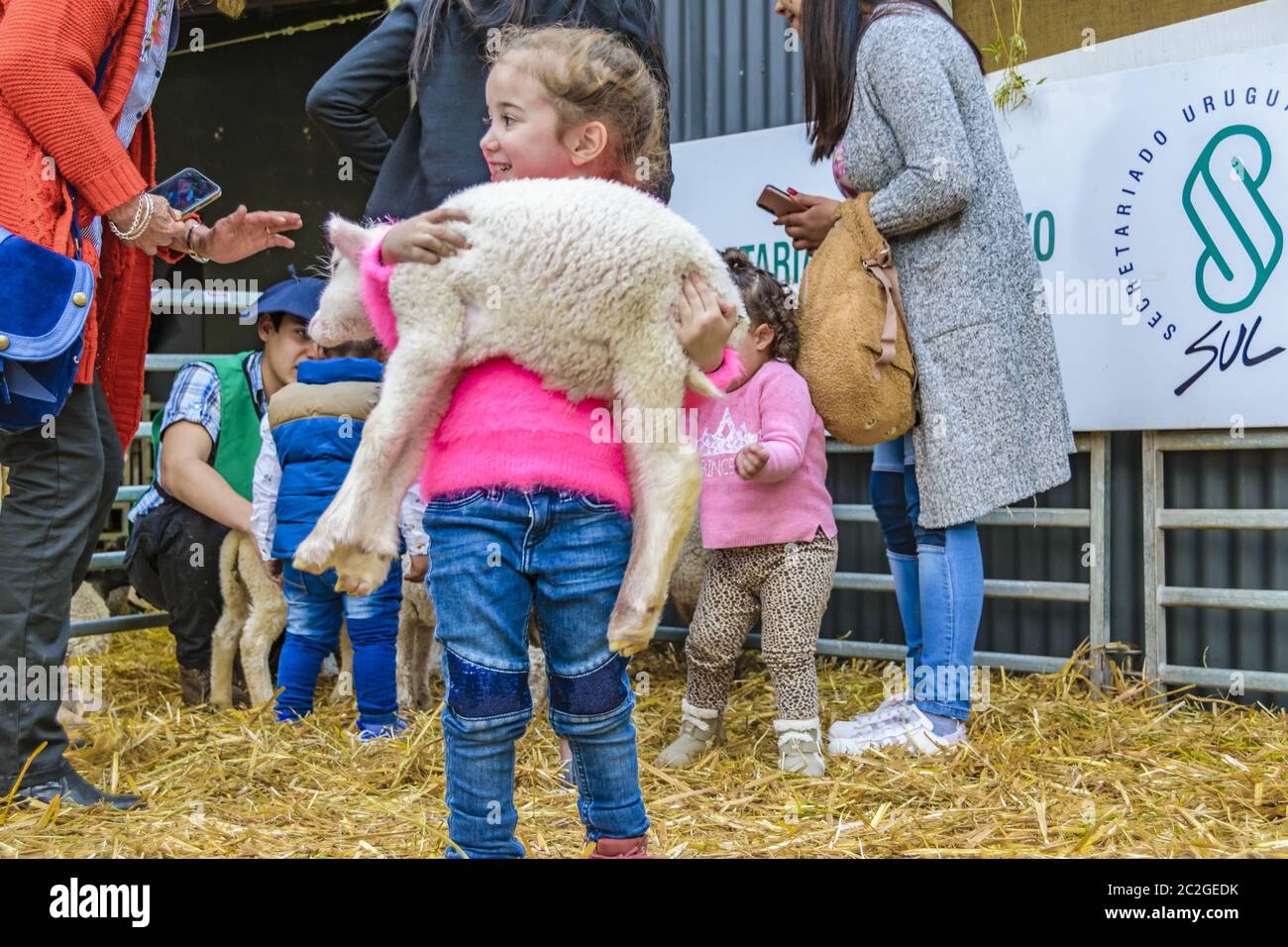 Girl Holding Baby Sheep, Rural Exhibition, Montevideo, Uruguay Stock ...