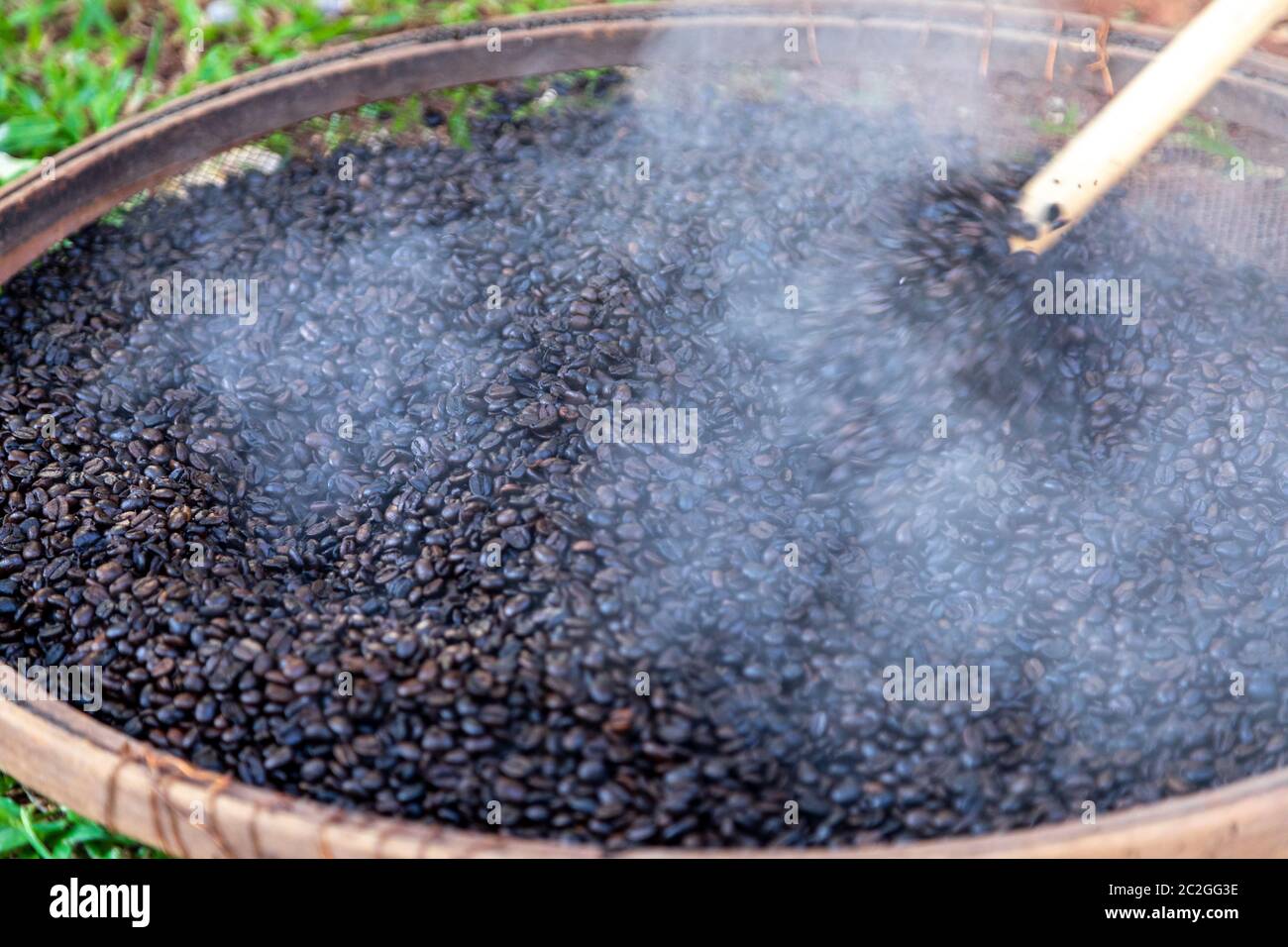 Roasted coffee beans, just came out of the fire, hot, smoke coming out ...