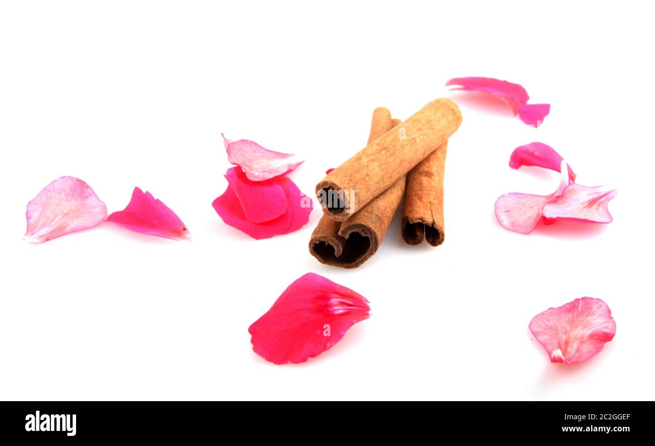 Cinnamon Sticks Isolated On White Background Stock Photo - Alamy