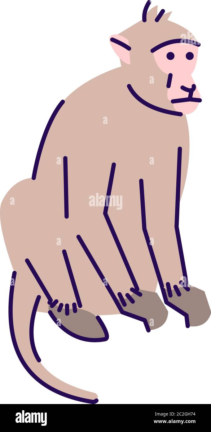 Monkey sitting semi flat RGB color vector illustration Stock Vector ...