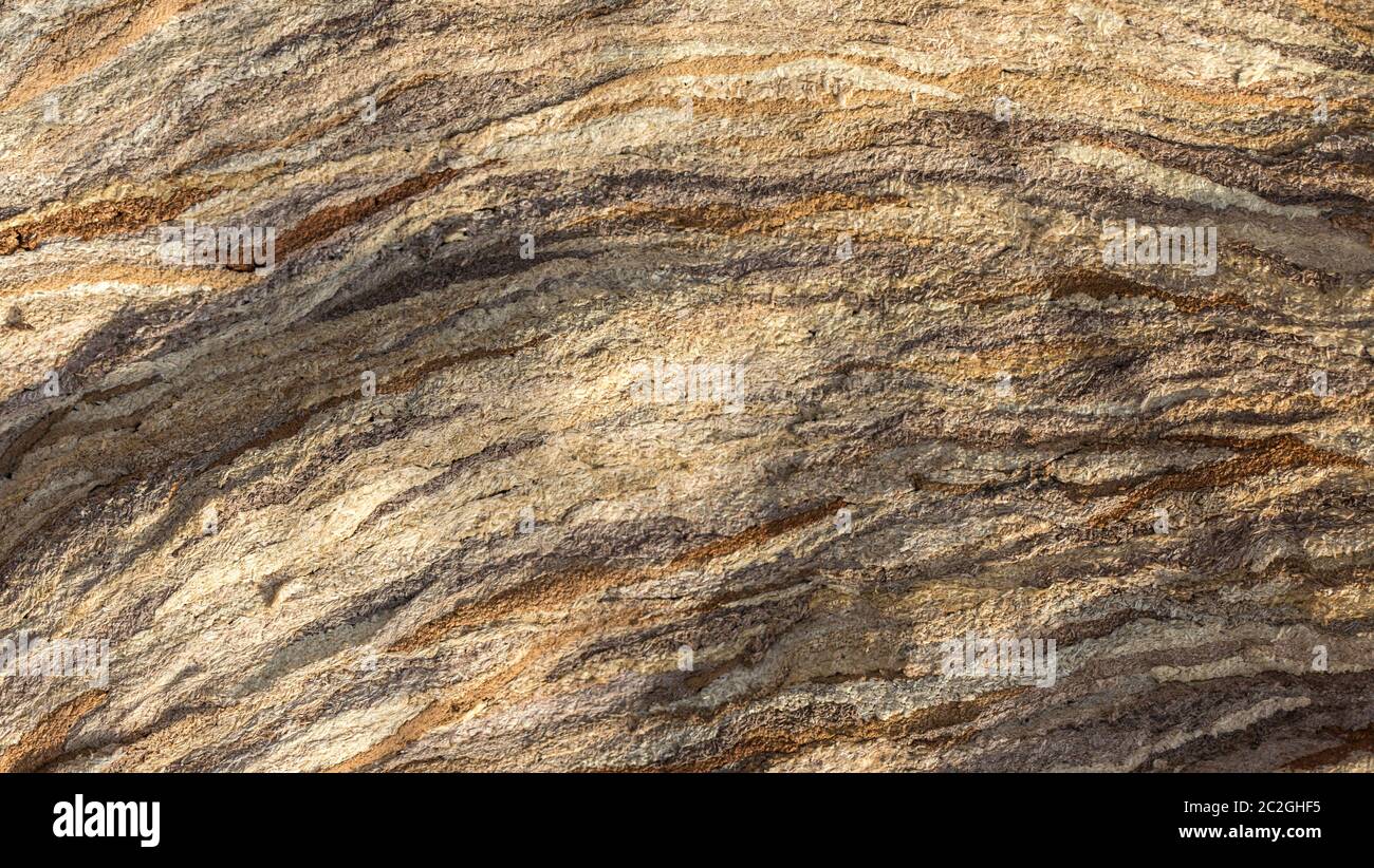 Wasp nest grey hi-res stock photography and images - Alamy