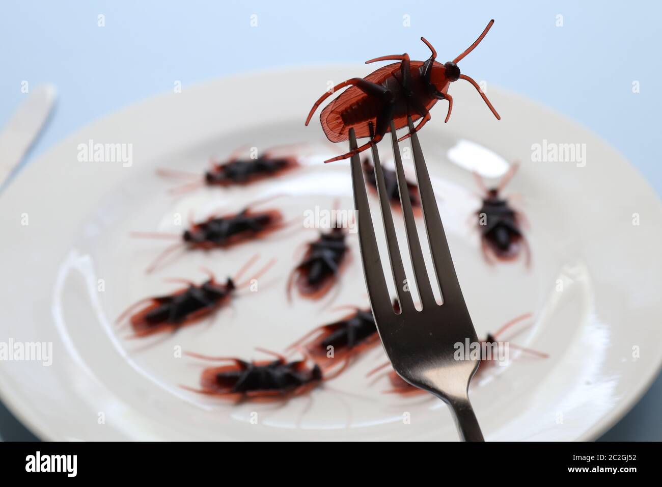Bugs on a plate.Insects as food or edible insects are insect species ...