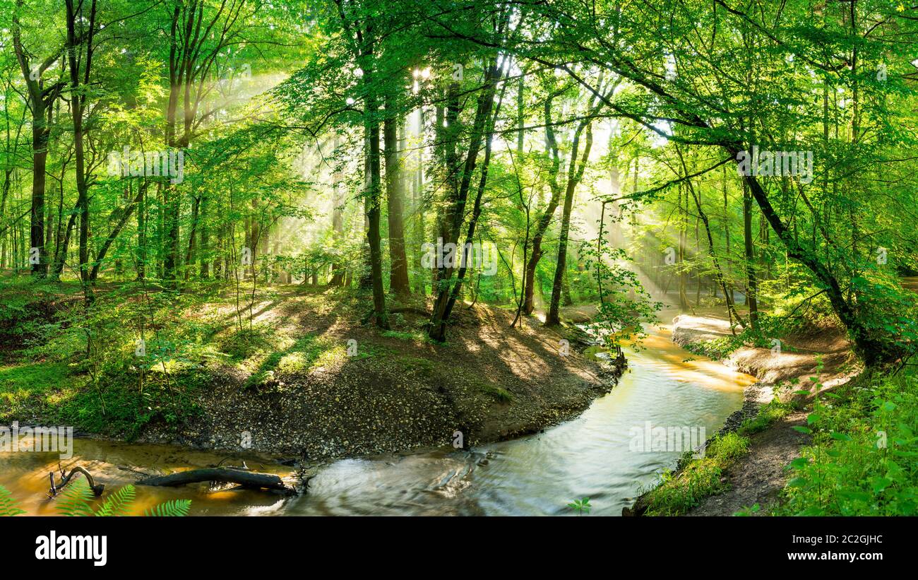 Brook background hi-res stock photography and images - Alamy