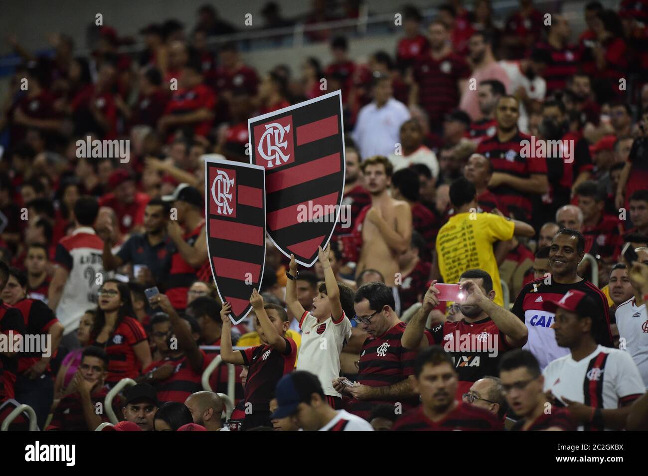 Flamengo football supporters during Flamengo x Emelec match at Maracanã ...
