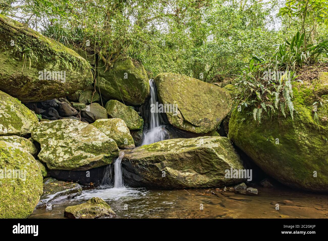Small waterfall among the rainforest vegetation of Ilhabela island ...